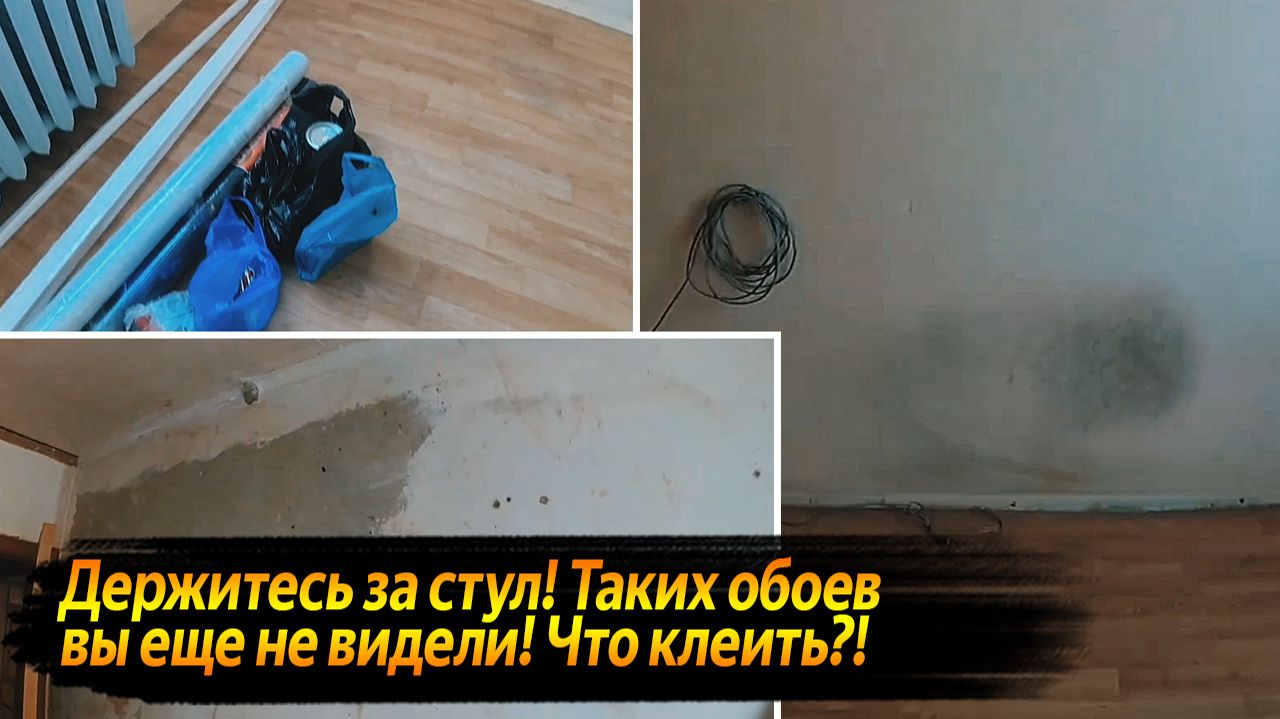 ОБОИ У БАБУШКИ КРУЧЕ? НЕ ФАКТ! ТРЭШ-ОБОИ И ВАШИ СОВЕТЫ | ВИДЕО КАЖДЫЙ ДЕНЬ №56