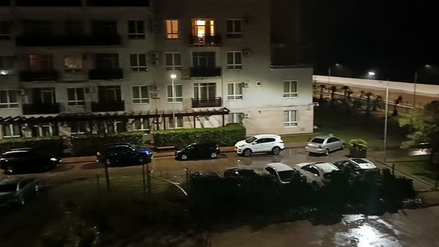 Что за птица поёт ночью под аккомпанемент дождя?