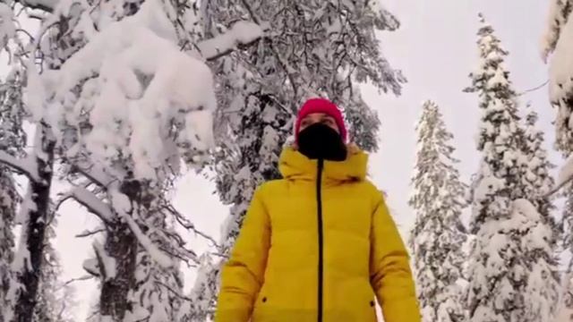 Зимняя атмосферная фоновая музыка для настроения. relax winter music 2026, зимний лес природа