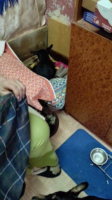 Четвертый 09.12.2025.