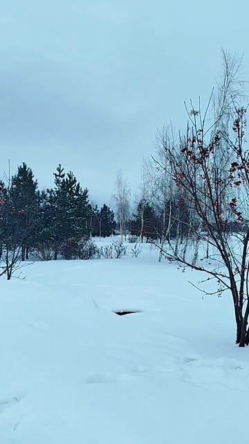 Мечеть Тауба Набережные Челны