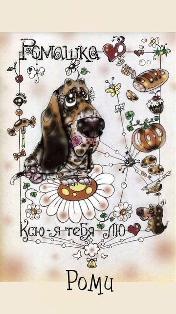 Весёлые картинки (корги, Роми, Сова)