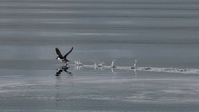 4  2026.01.03 Обсуждение. Сила Божья Ч. 2