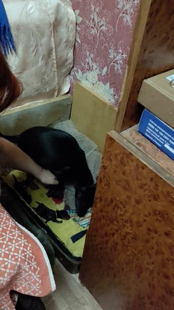 Третий 09.12.2025.