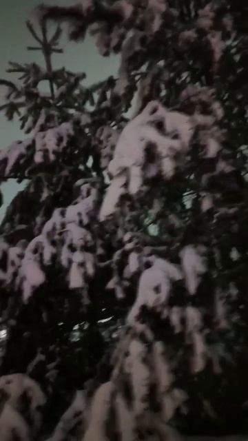 Домой на встречу старого Нового года