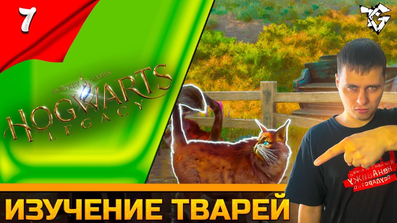 Прохождение ➡ Hogwarts Legacy [#7] ➡ Изучение тварей