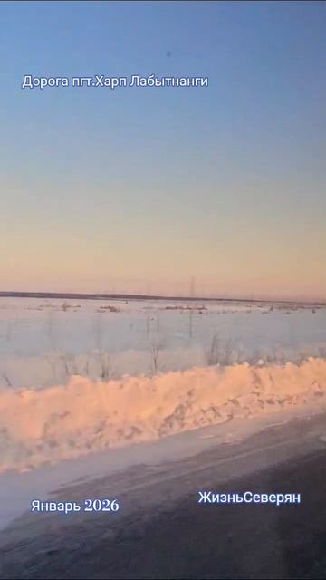Дорога пгт.Харп Лабытнанги. Ямало-Ненецкий АО Лабытнанги ЖизньСеверян. 2026