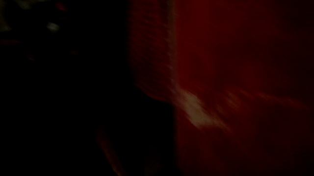 Пароль для Кошек: "Хозяйка пришла!"