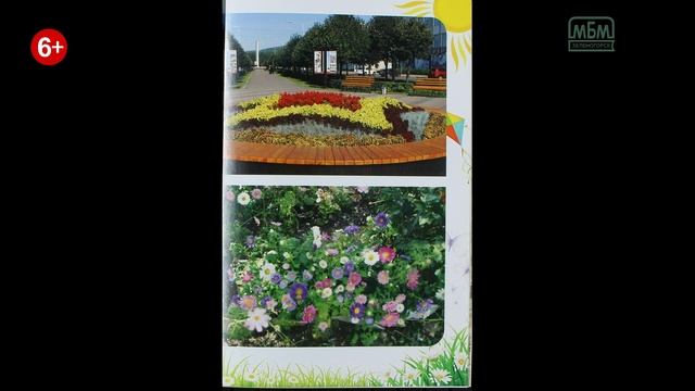 Каждое мгновение прекрасно! Фотоальбом Людмилы Черепановой (Литературное Красноярье)