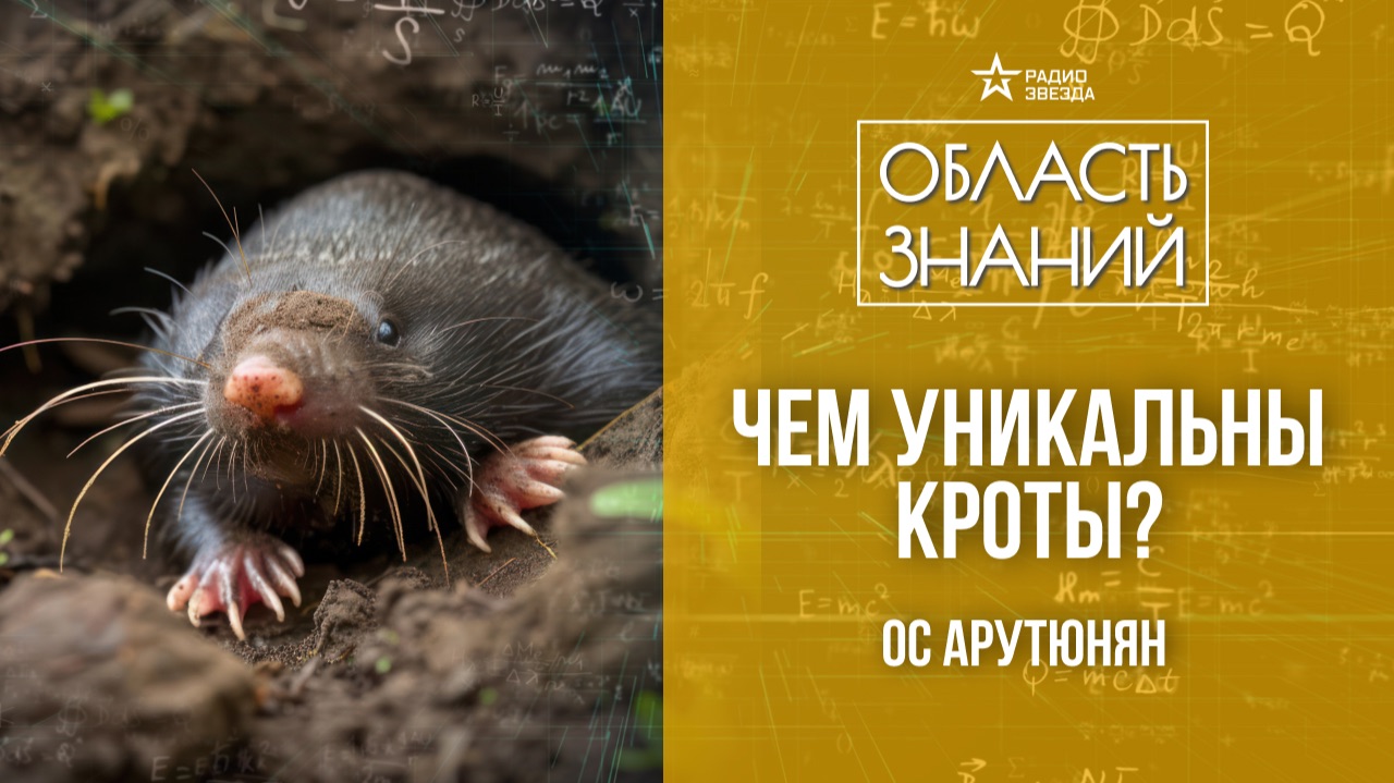 Жизнь животных в норах. Лекция научного журналиста Оса Арутюняна