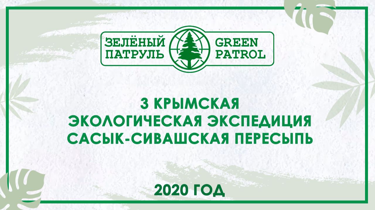 3 Крымская экологическая экспедиция: Экологическая экспедиция Сасык-Сивашская Пересыпь