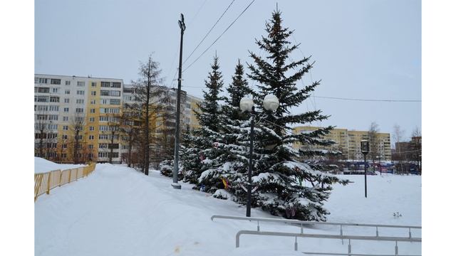 Новогодняя Ёлка. ул. Коваленко. 11.01.2026 г..#940