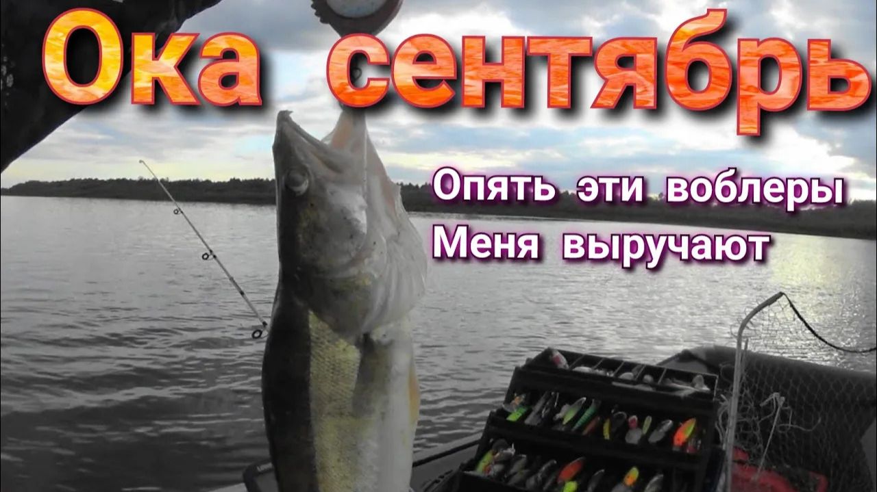 Троллинг на  Оке, ДУМАЛ ЗАЦЕП НО ВНЕЗАПНО ЗАЦЕП ОЖИЛ