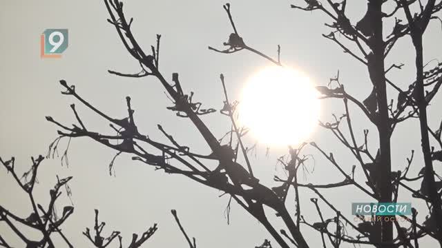 Новости Старого Оскола от 14 января