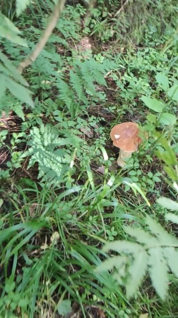 2025.08.14. Белый