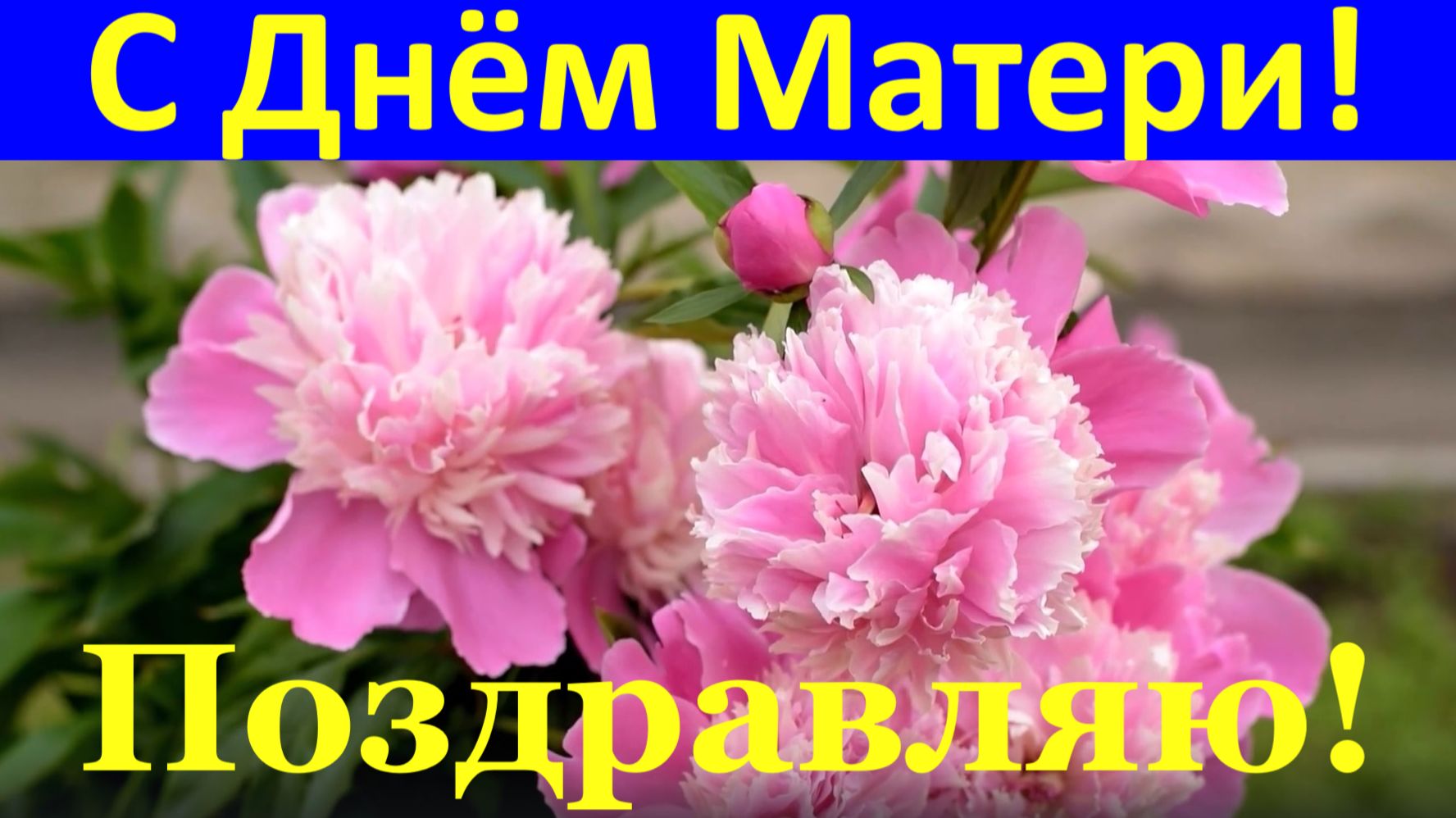 Поздравления С Днём Матери родная мама поздравляю!