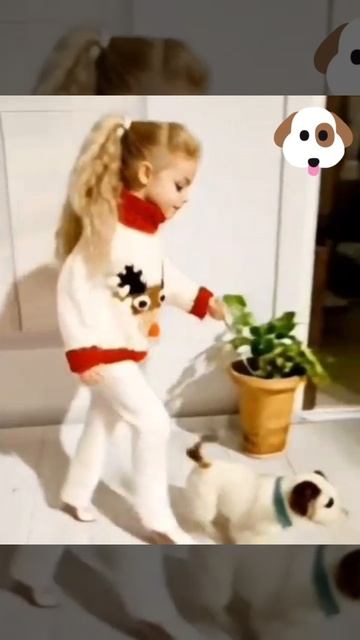 InShot_20251124_120631857