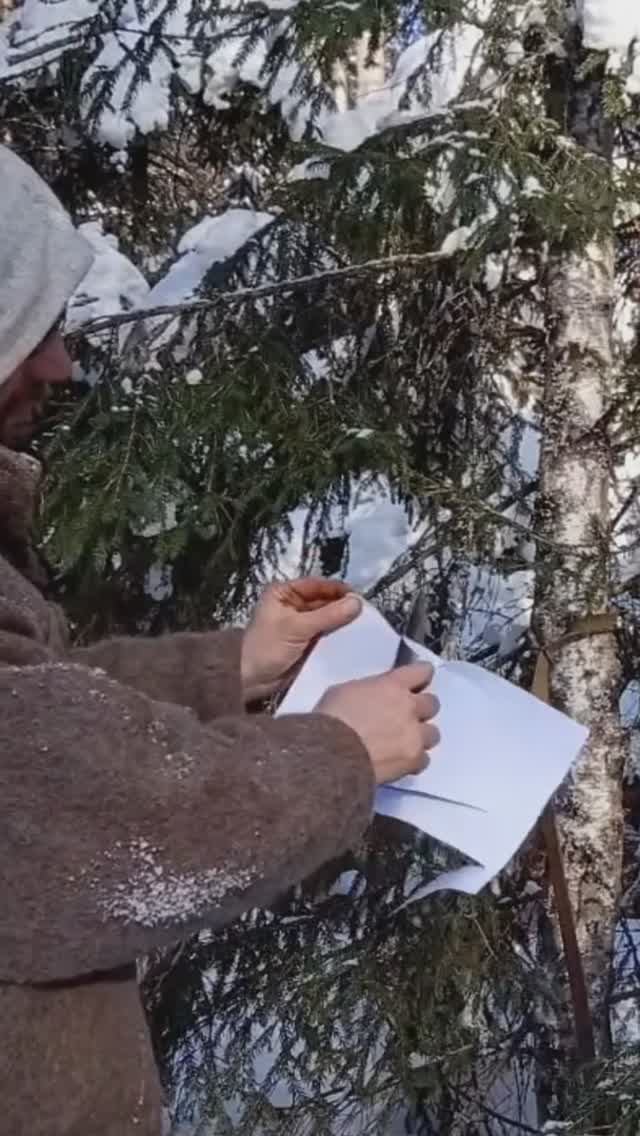 НОЖИ ЗАТОЧКА НОЖА В ЛЕСУ БЕЗ ИНСТРУМЕНТА И НАЖДАКА