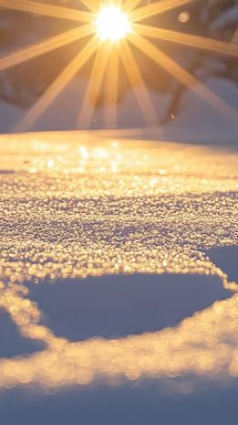 снежный карнавал