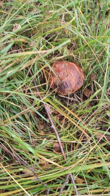 2025.08.31. Начало.