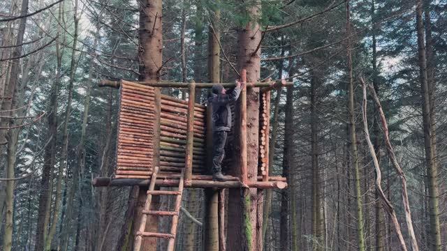 Строительство Хижины на Дереве
