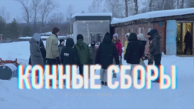 5 января Рабочий день с лошадьми: походы, галоп и зима