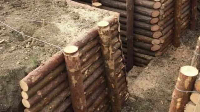 Барсов отряд.