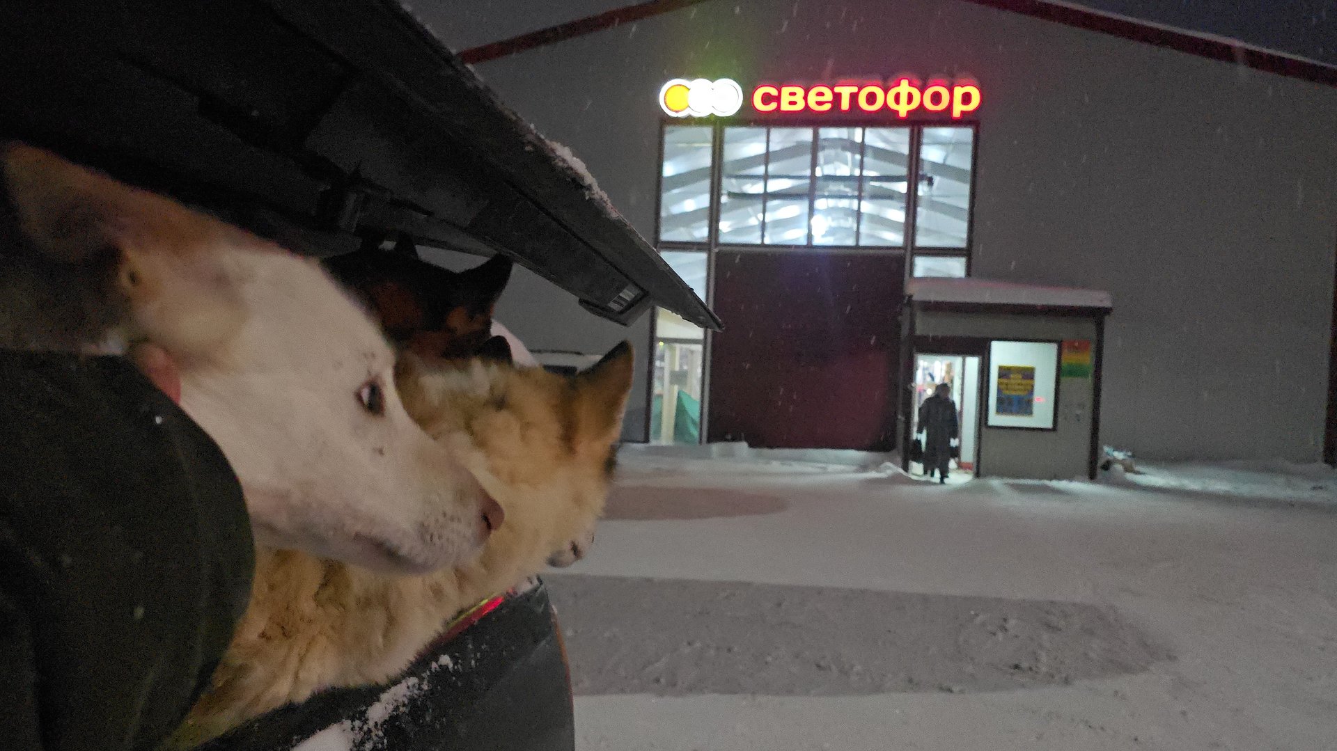 Светофор выручил