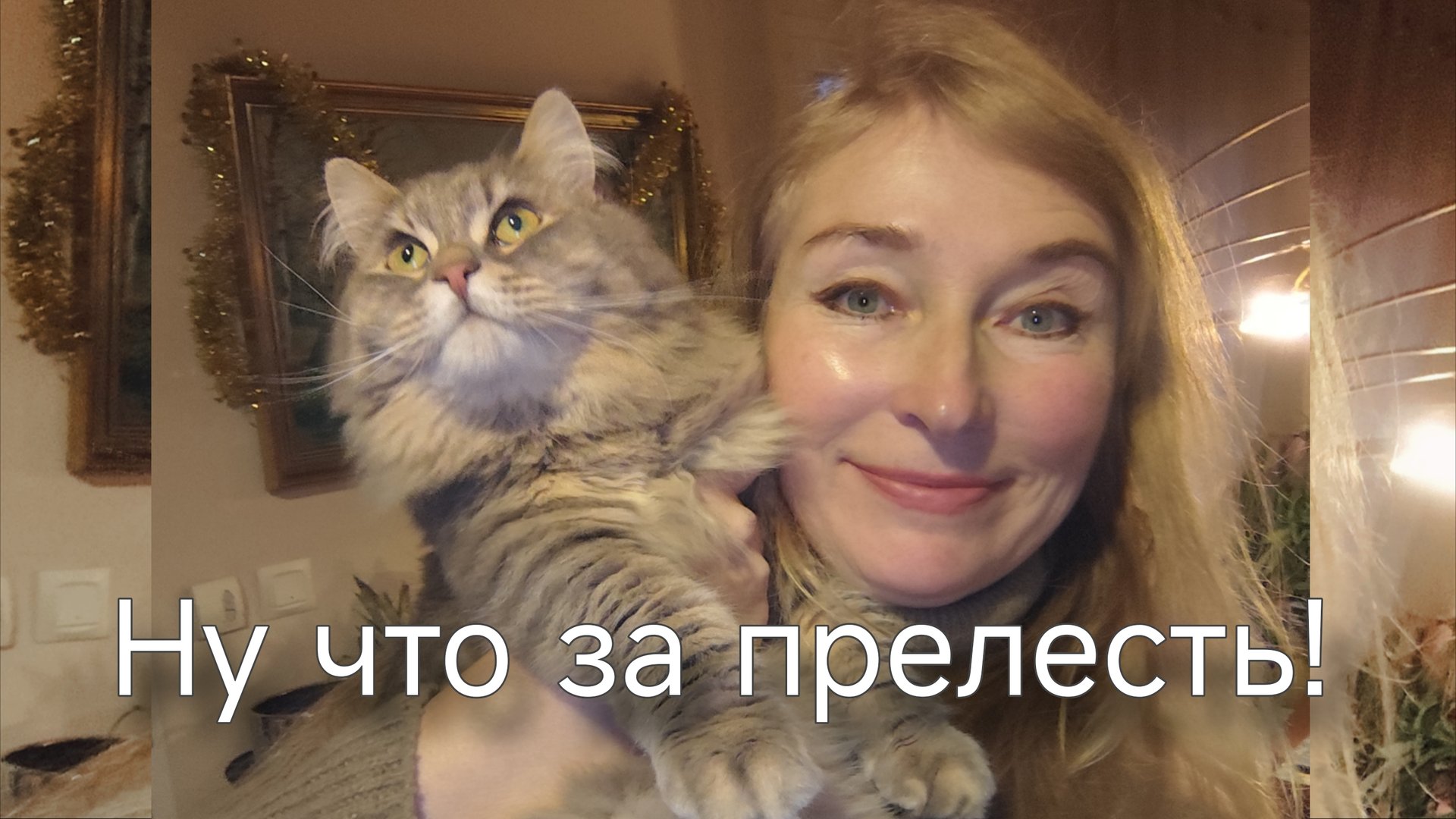 Котики, дешёвая еда и ... финансовая жопа