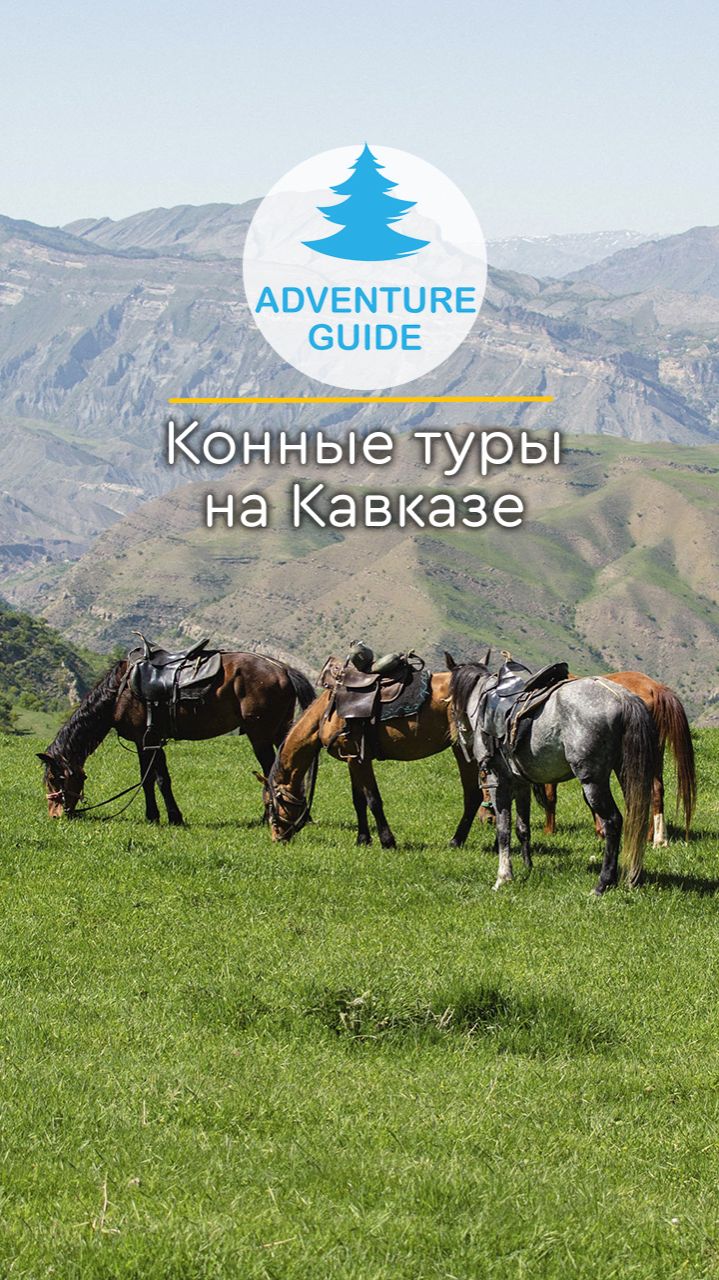 Конные туры на Кавказе #кавказ #лошади #путешествия
