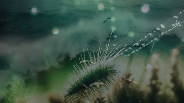 Морские течения во время шторма