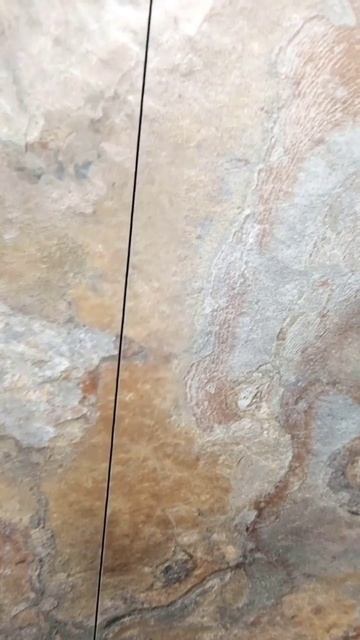 Двухстворчатый люк Шагма для доступа в сантехшкаф