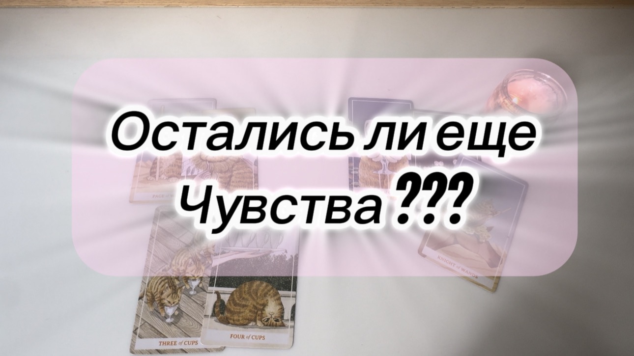 Помиритесь ли вы?‼️ Остались ли еще чувства??💖 #таро #любовь #раскладнамужчину