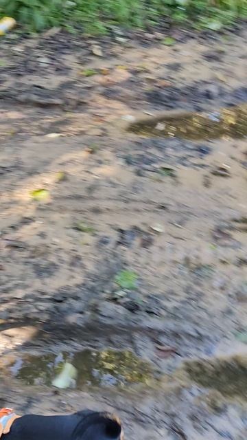 2025.09.10. Опята.