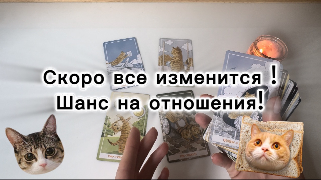 ТАРО РАСКЛАД ДЛЯ ОДИНОКИХ !новый мужчина?