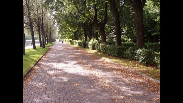 "Жестокое сердце"(Кардилло)исп.Санько Леонид (2011г)