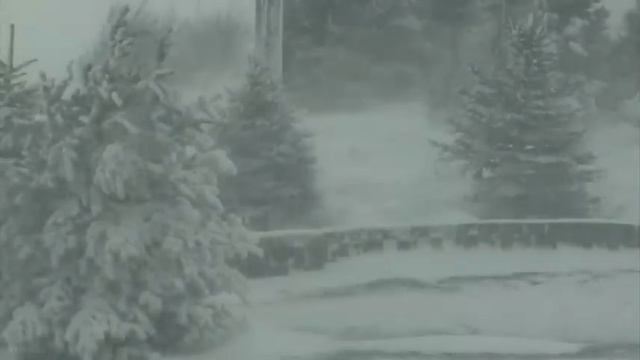 Звук снежного ветра в лесу. Релакс видео.