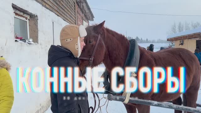 Дневник конных сборов за 30 декабря 2025 года
