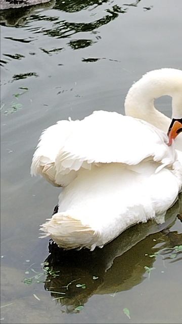 Утренний макияж