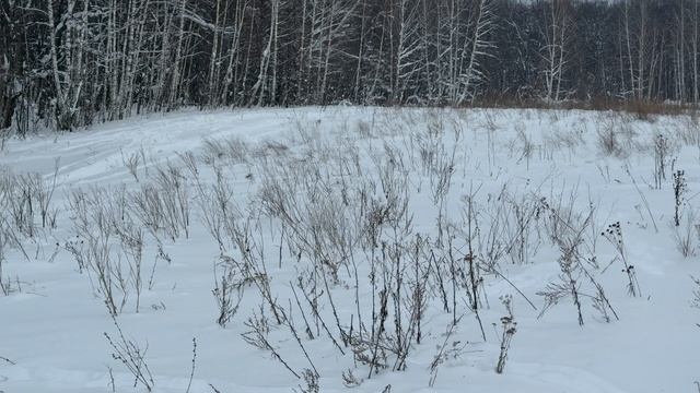 На 170 метров в голову | Возможности Arkon Arma с хорошей опорой