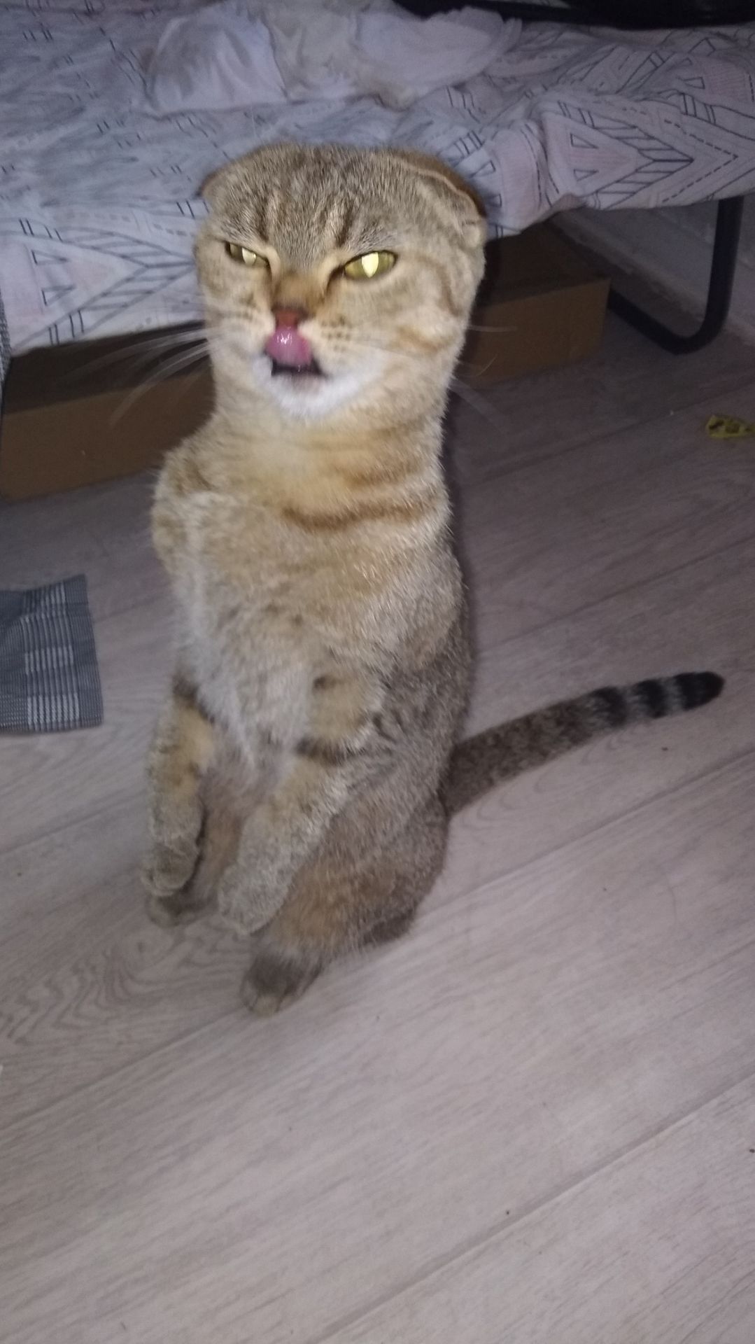 Ух ты черт.!!!..!😆