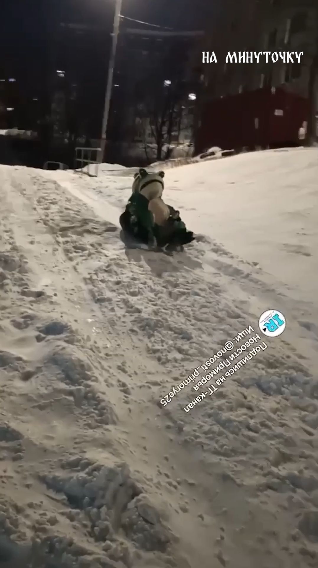 Приморцы организовали горнолыжку прямо во Владивостоке 😎