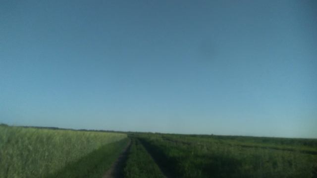 Исчезнувшая деревня Мойка, Аркадакский район.