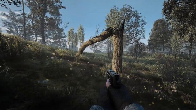 Anomaly Custom Next - AP-PRO Showcase 2025 Trailer