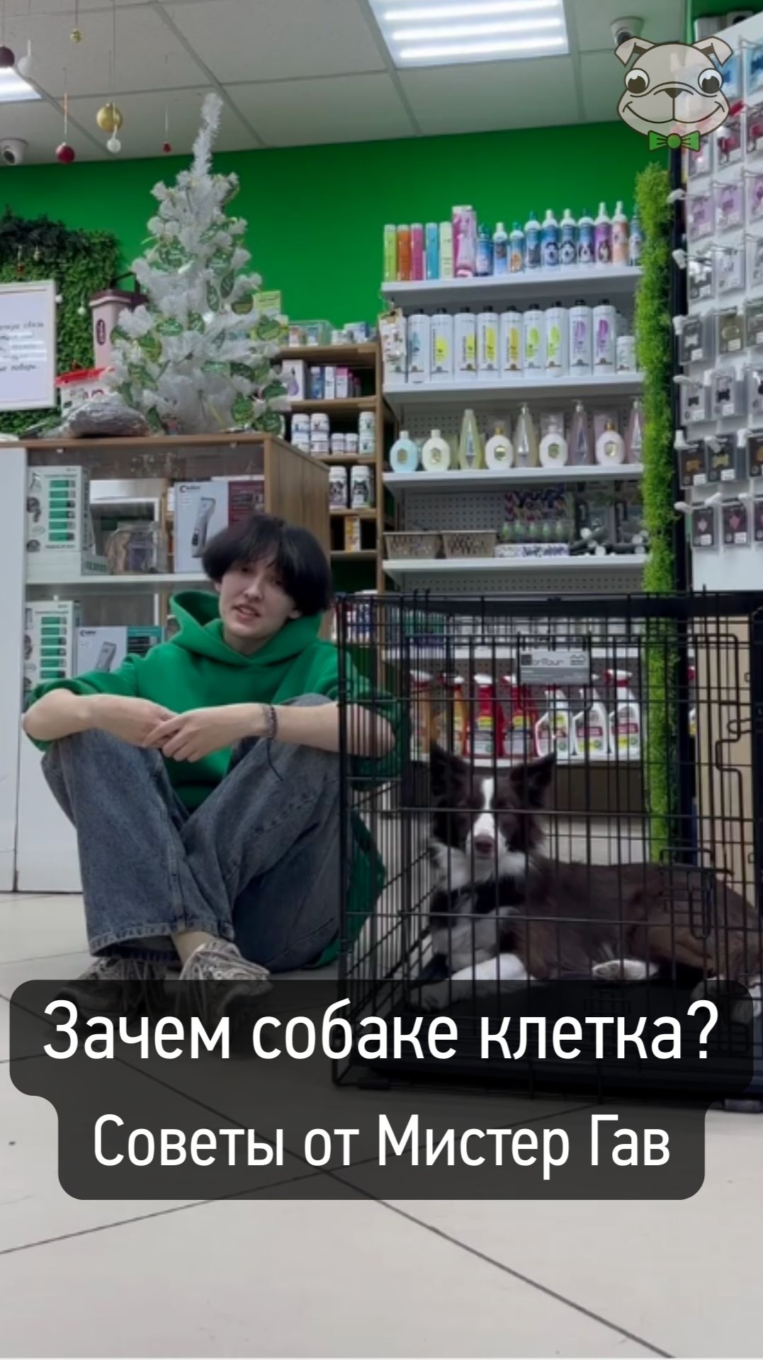 Клетка для собаки — когда и зачем она нужна | Советы «Мистер Гав»
