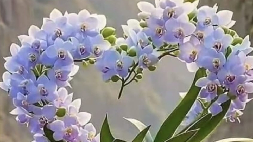 14.01.2026(2). СП ,,Вязальный Переполох. А скоро Весна". Отчёт 1.