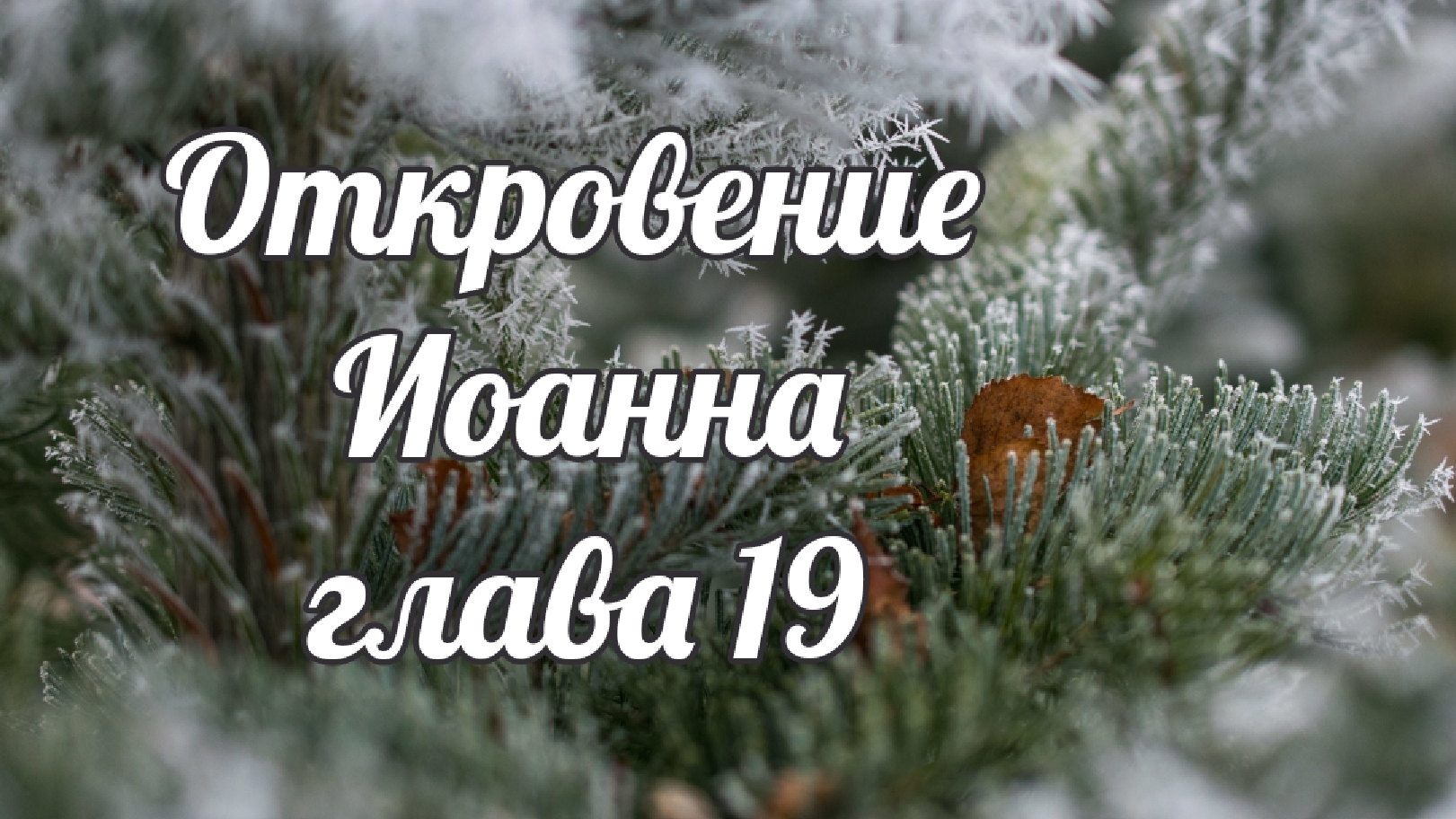 Откровение Иоанна глава 19