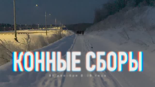 Зимний день с лошадьми | Конные сборы 31 декабря