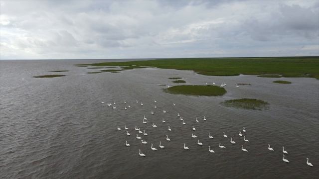 Таймыр: Арктика без границ