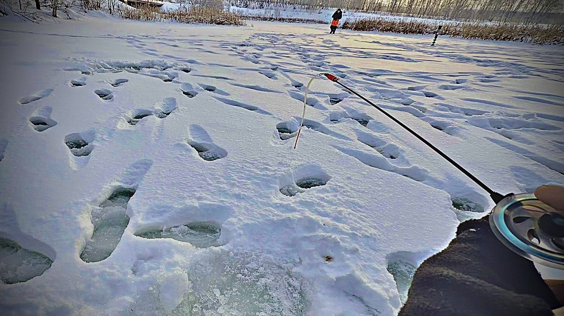 ОБЫЧНАЯ РЫБАЛКА на мормышку . Ворона воровала рыбу .